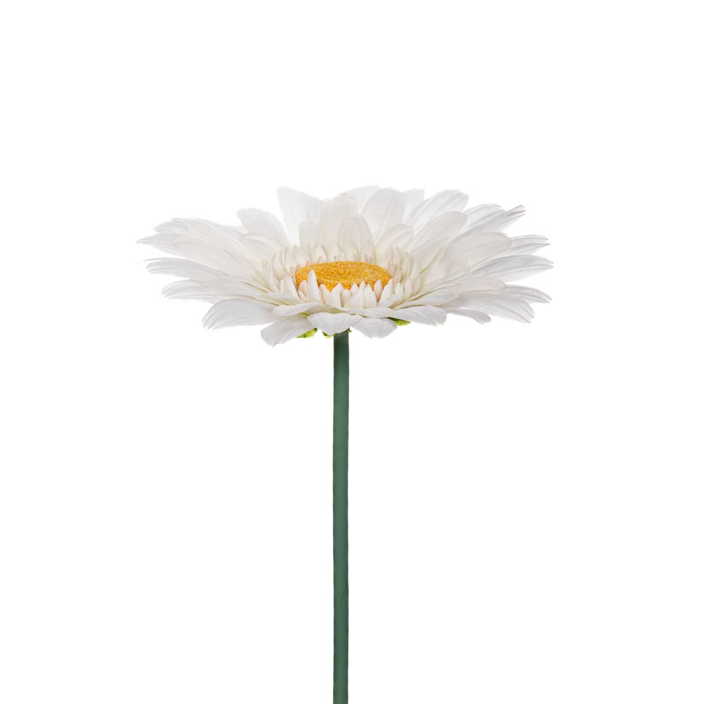 DEKORATIVNI PREDMETI - CVEĆE | Diker - galerijska roba